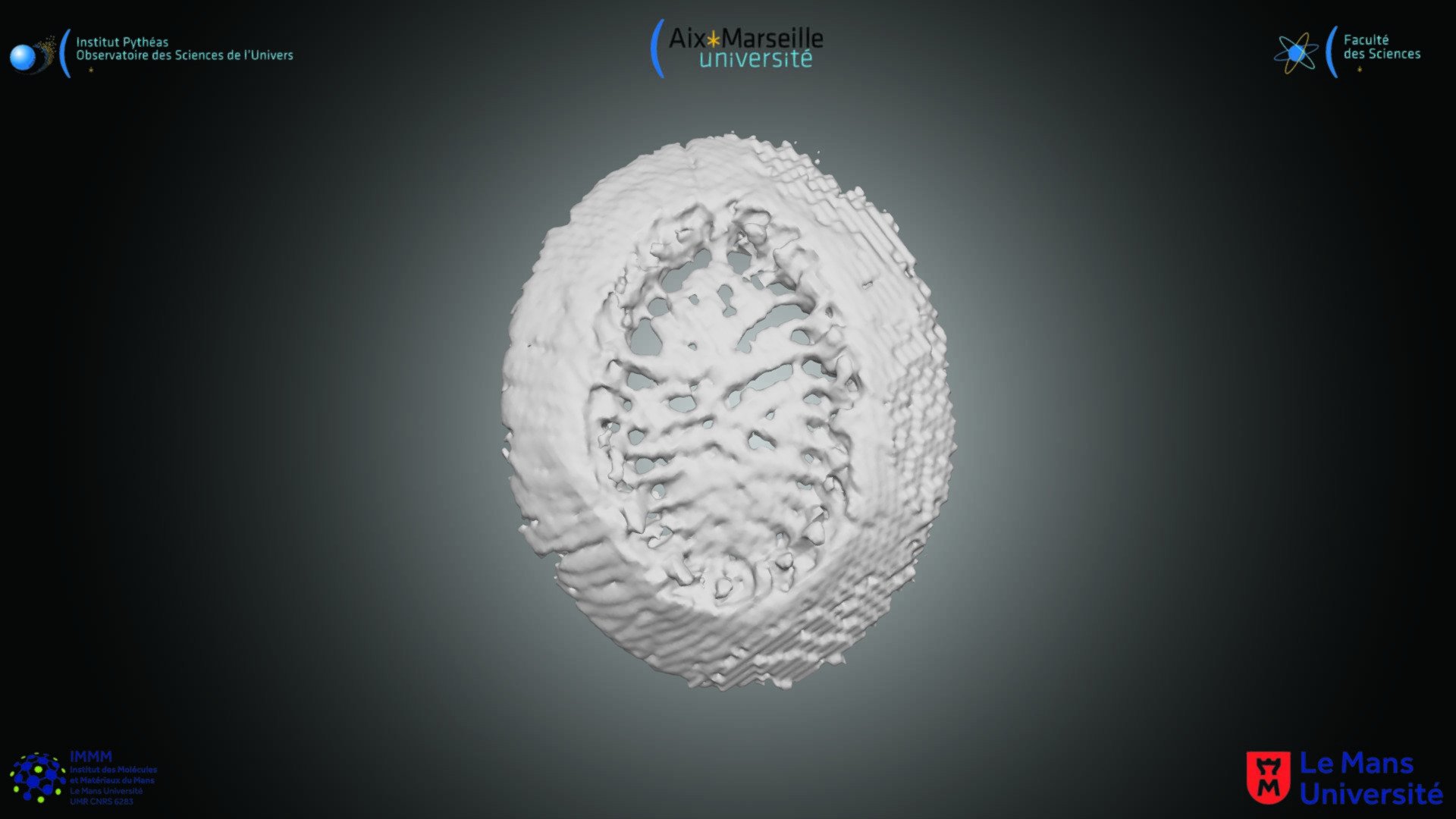 Coccolithophoridé - R. parvula coccolithe - Download Free 3D model by ...