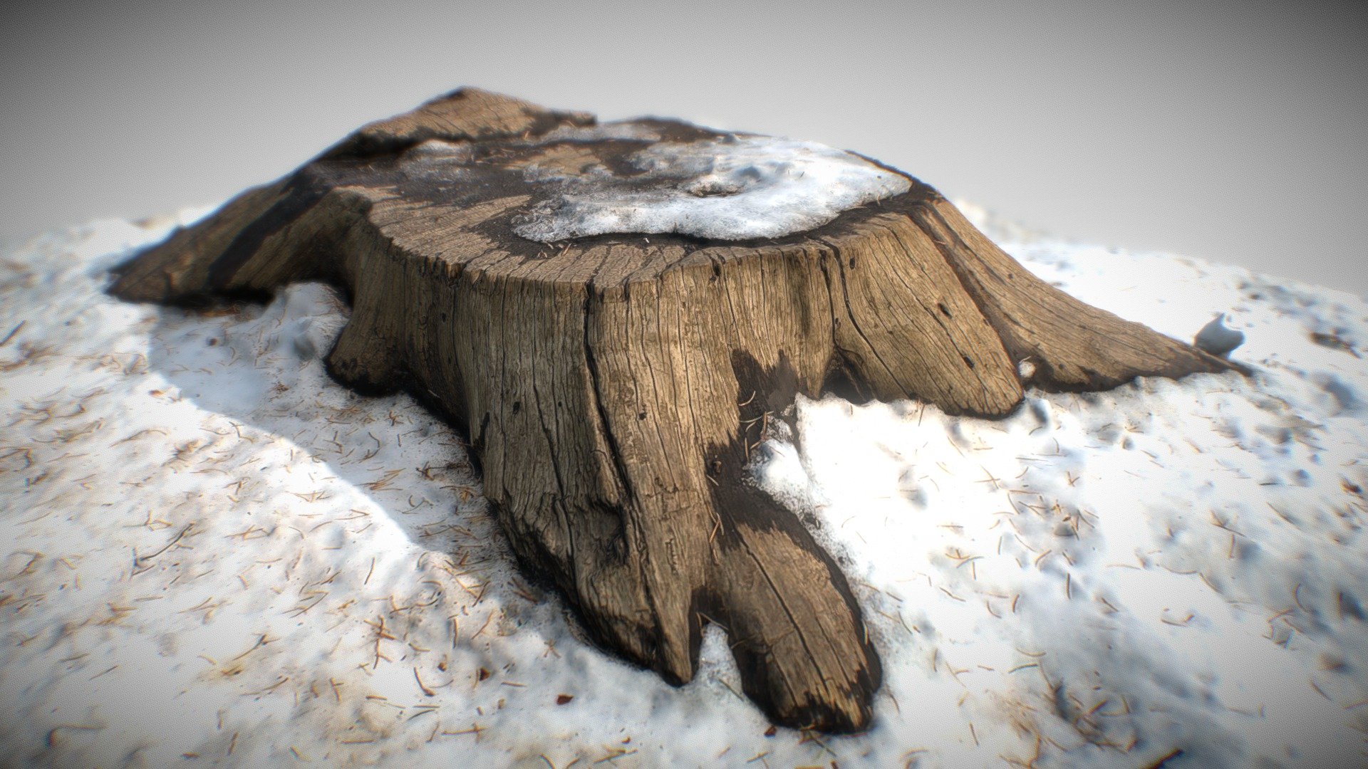 Snow Tree Stump - Ages White Wood Grain - Buy Royalty Free 3D model by ...