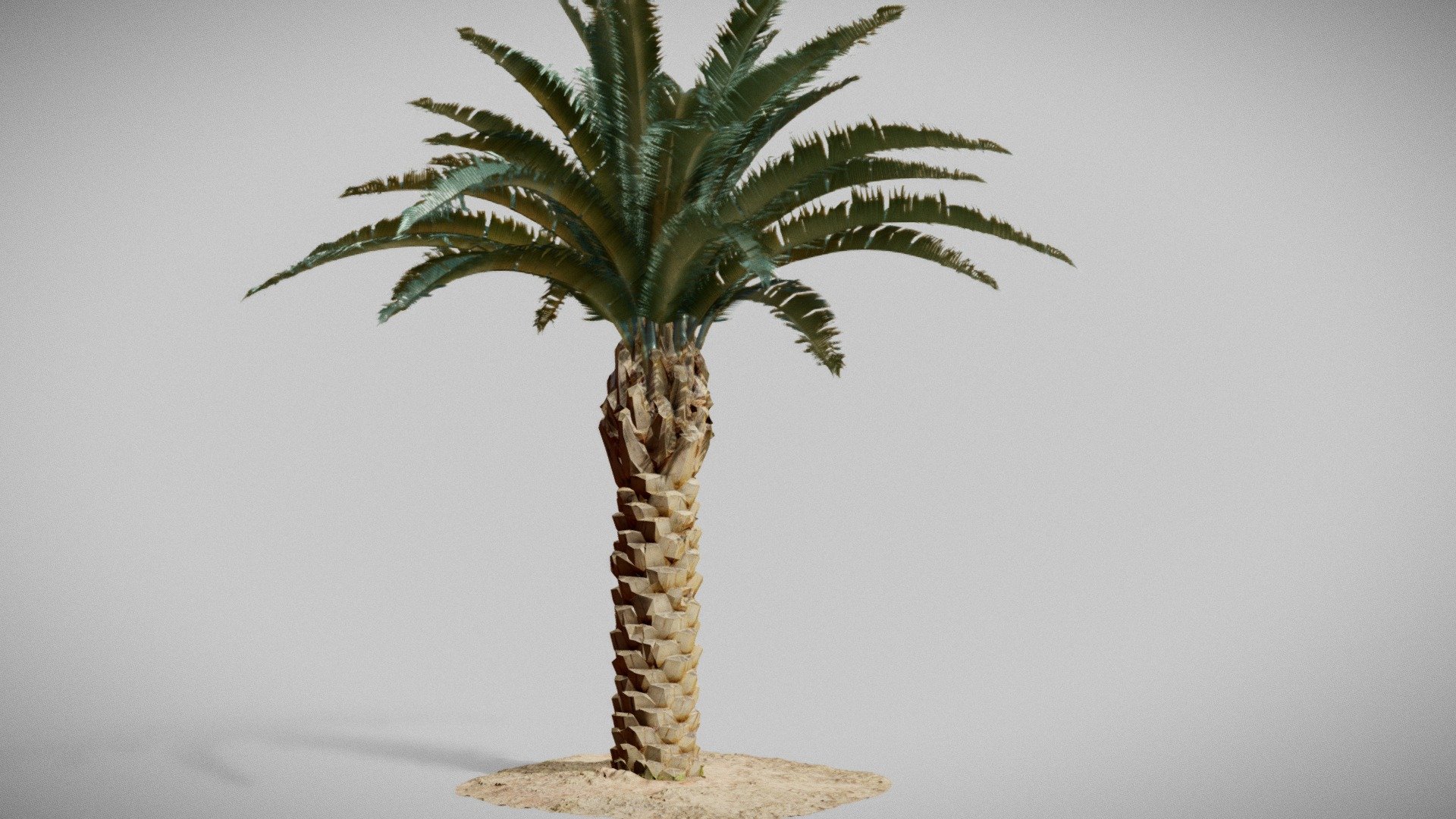 Palm Tree 03 - Buy Royalty Free 3D model by eMirage [df996eb ...