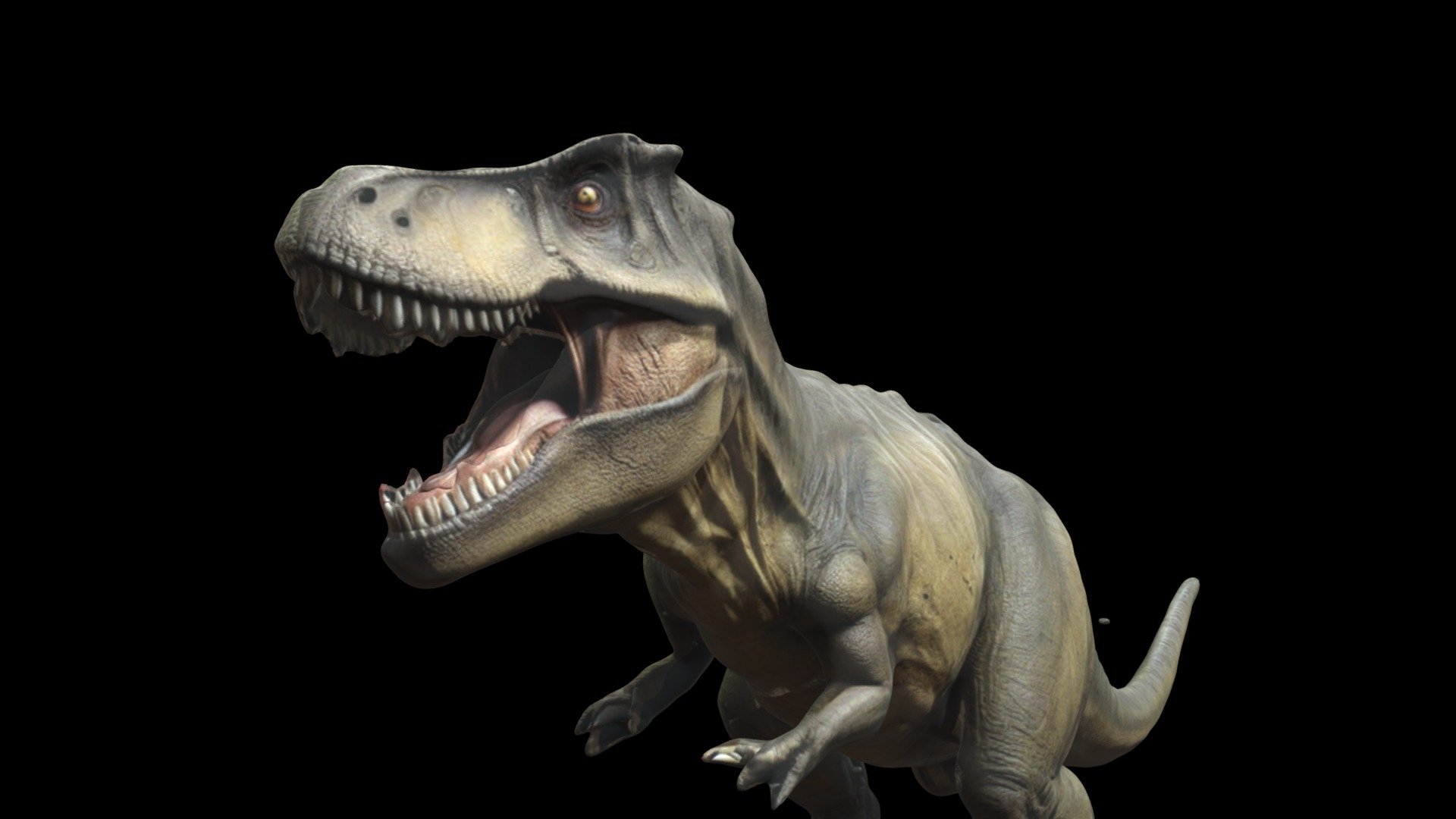T rex Game Ready - Download Free 3D model by Trident.AI [df9b3a8 ...