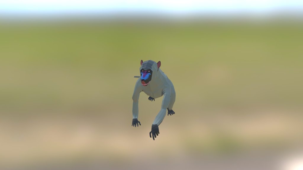 Baboon - 3D model by Kovonic [df9d399] - Sketchfab