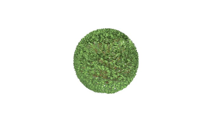 Hedge 3D models - Sketchfab