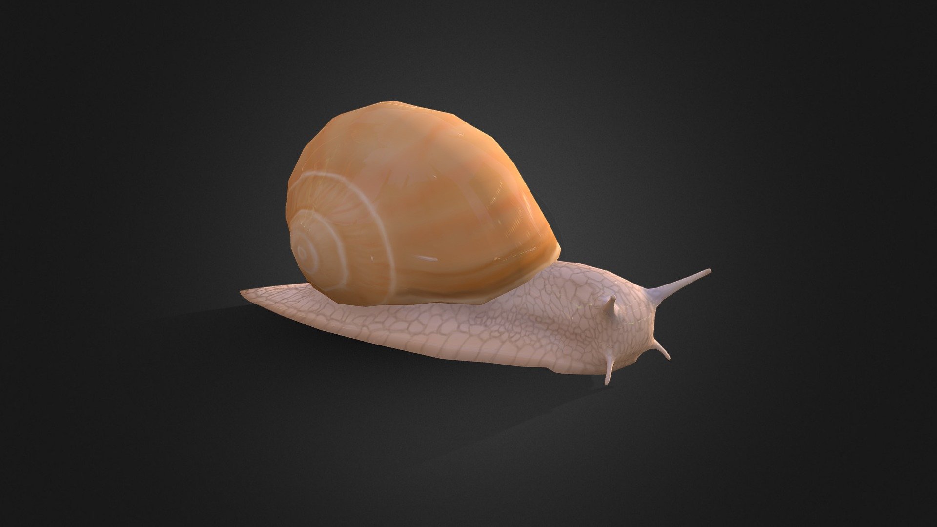 Snail - Buy Royalty Free 3D model by 3D-IDI (@paduladi) [df9f704 ...