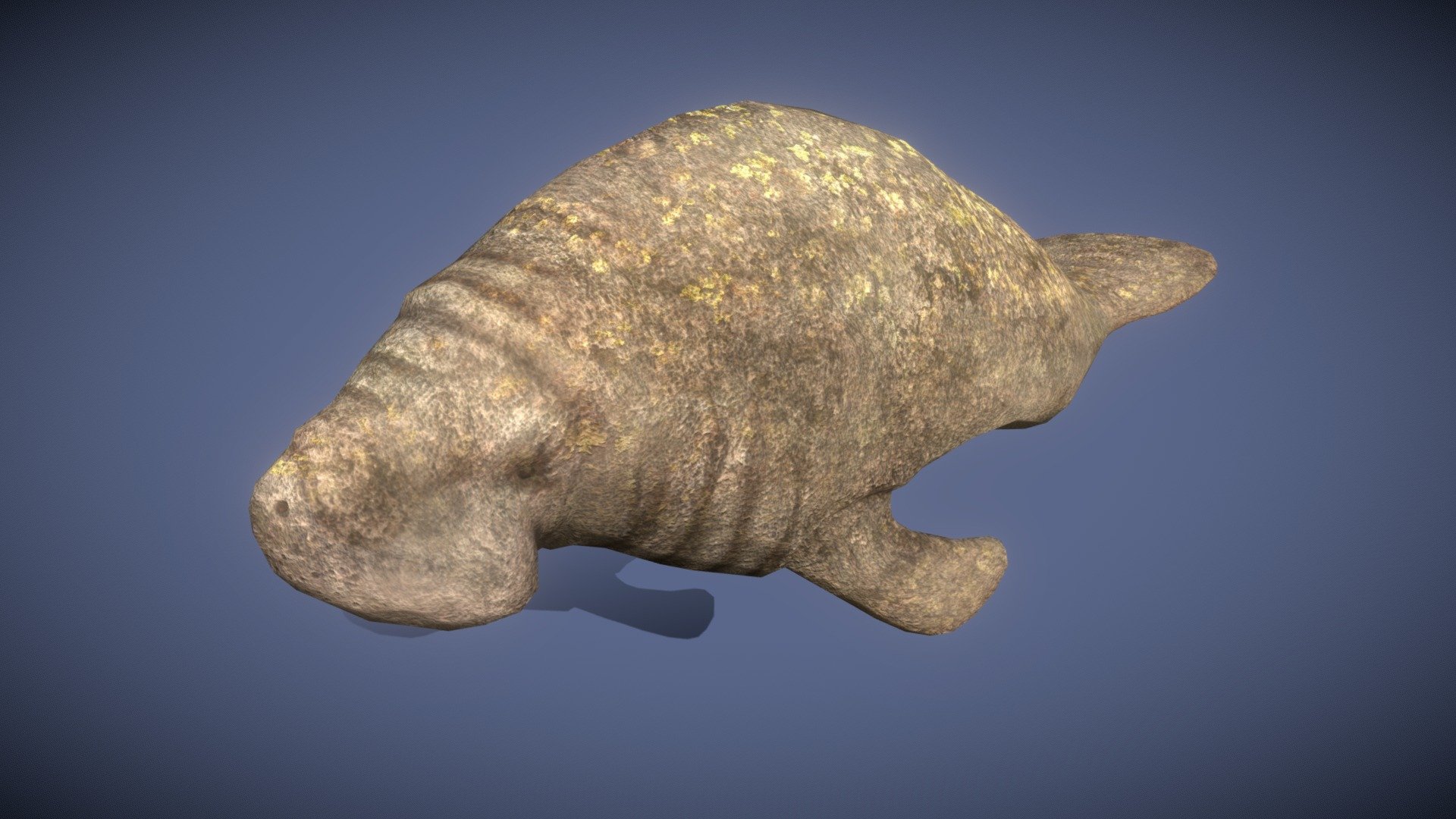 Sealife - Manatee - Buy Royalty Free 3D model by 3DRT.com [dfacf59 ...