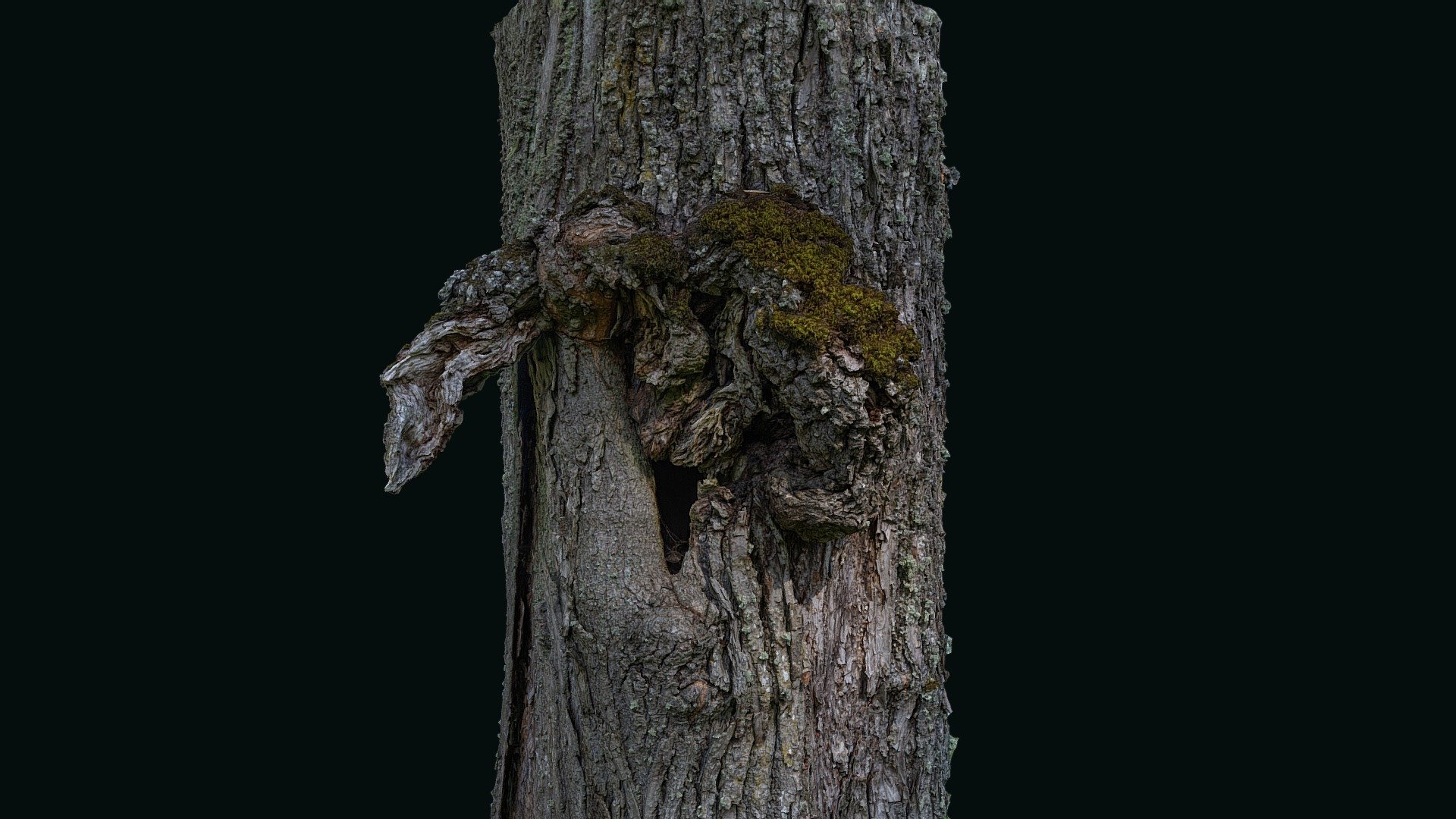 Old oak trunk into digital monster - Buy Royalty Free 3D model by ...