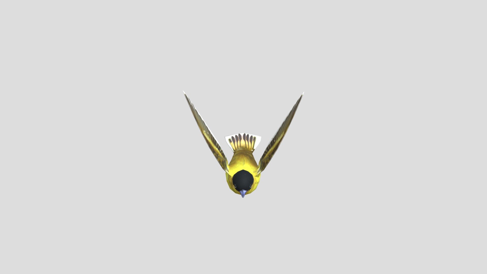 bird__fly - 3D model by efthuko [dfb4e41] - Sketchfab