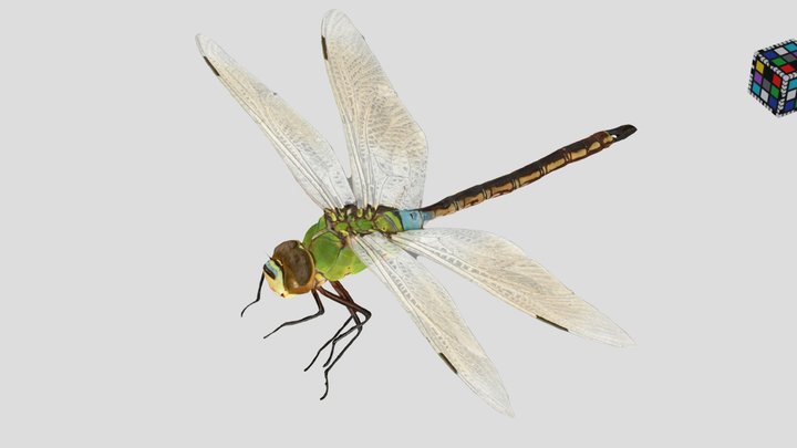 Parthenope 3D models - Sketchfab
