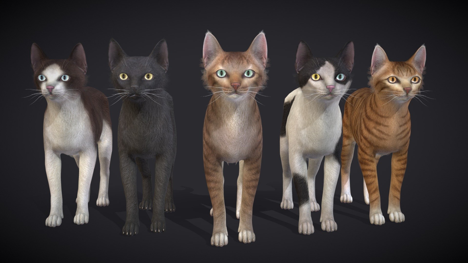 Skinny Cats - 3D model by RedDeer (@billl90) [dfb910f] - Sketchfab