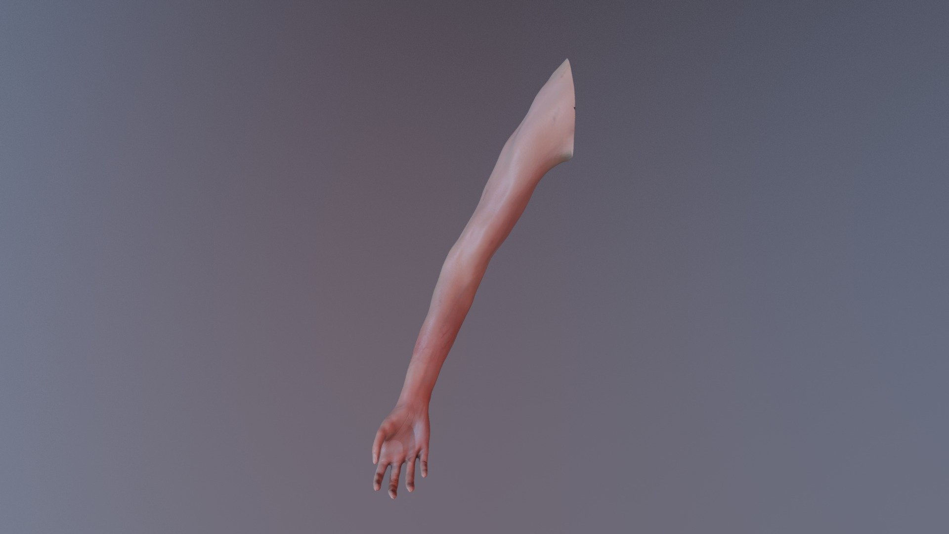 WOUNDED ARM - 3D model by stijnvangaal [dfc2b8b] - Sketchfab