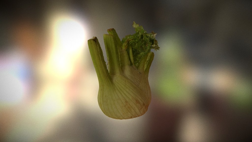 Pankolis - Fennel - Download Free 3D model by Mantas Talmantas ...