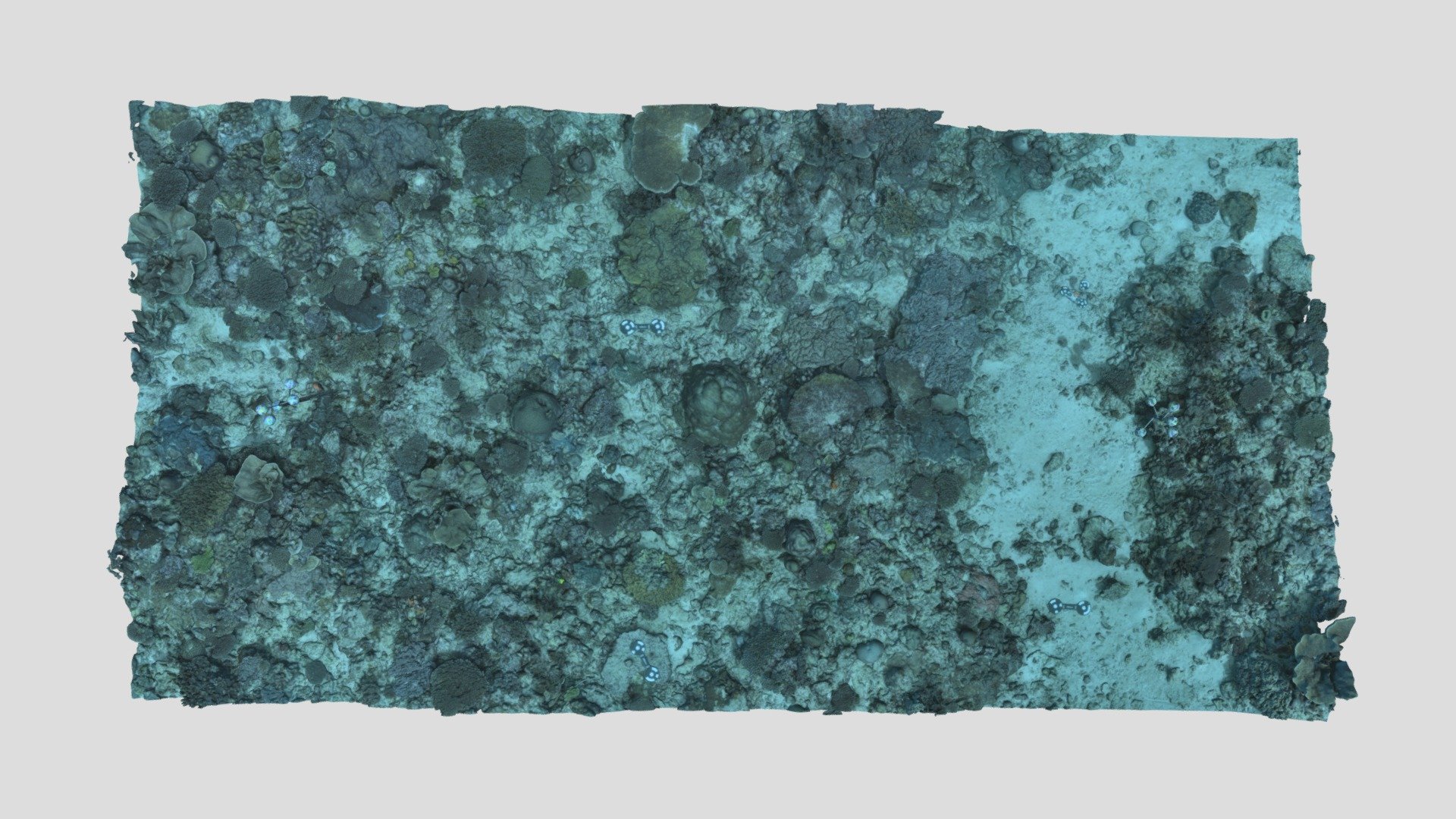 Heron_BA1D_P2_202205 - 3D model by EcoRRAP (@AIMSEcoRRAP) [dfd2c61 ...