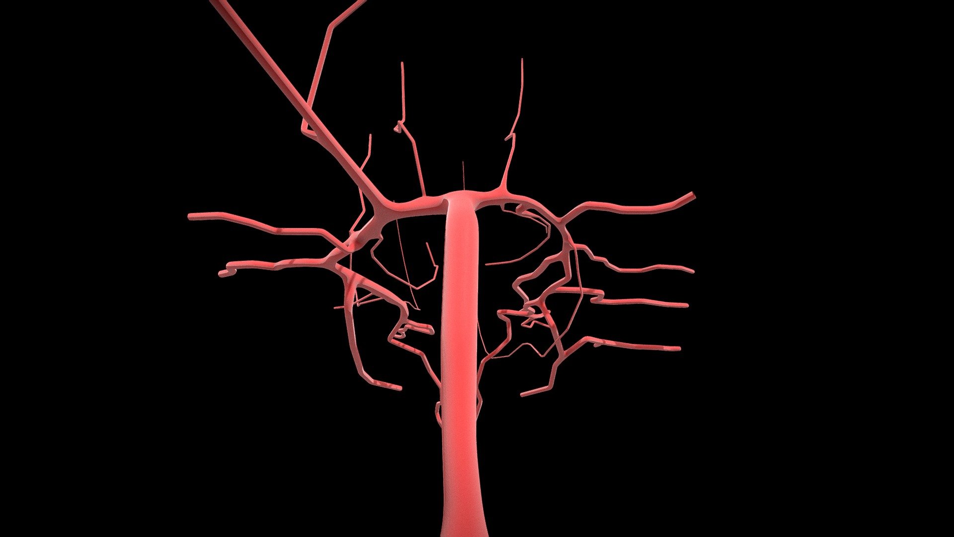 Posterior cerebral artery anatomy - 3D model by Dr SAI PRASHANTH ...