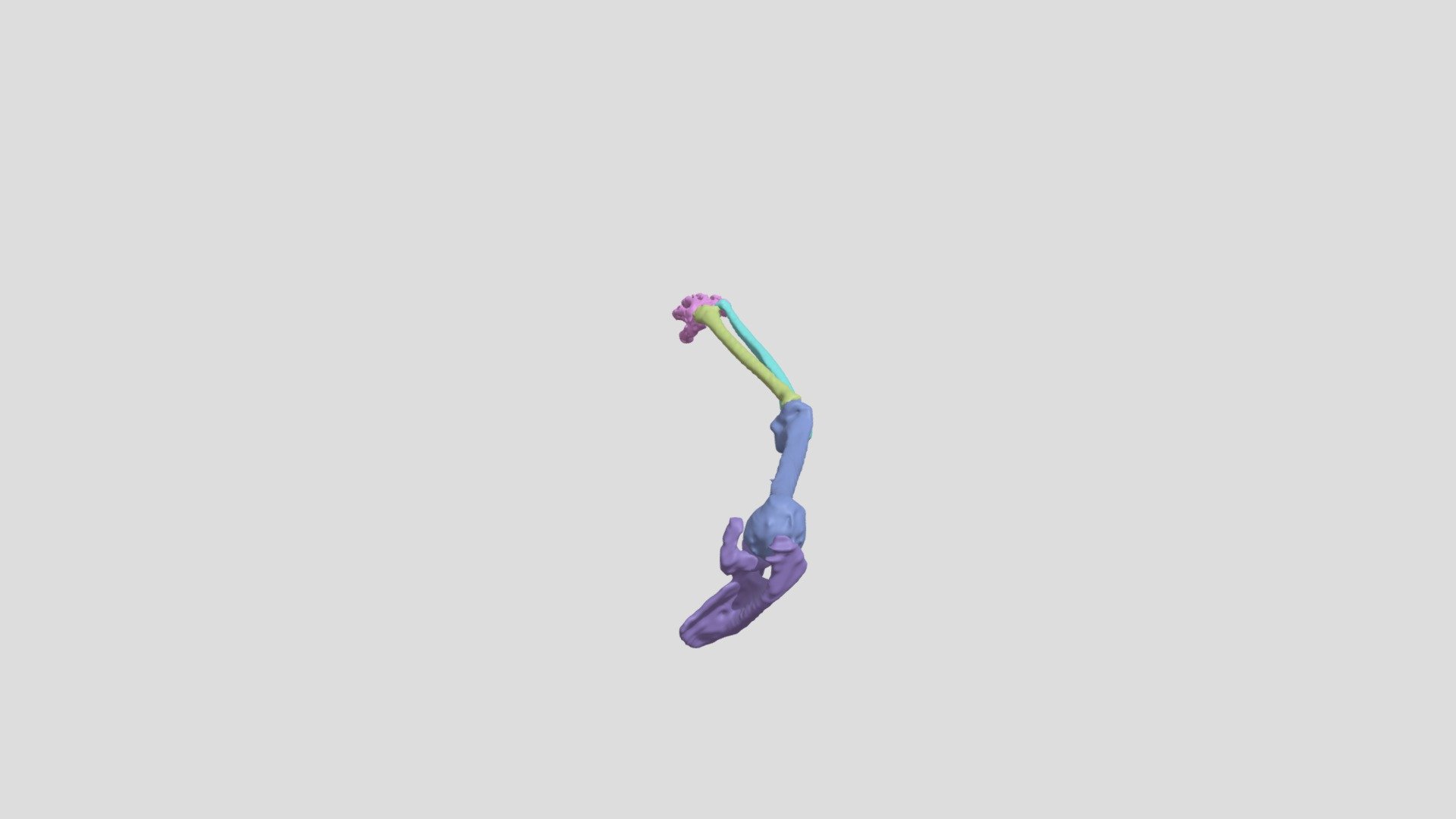 9160F Arm Segmentation - Download Free 3D model by jamie.ernewein ...