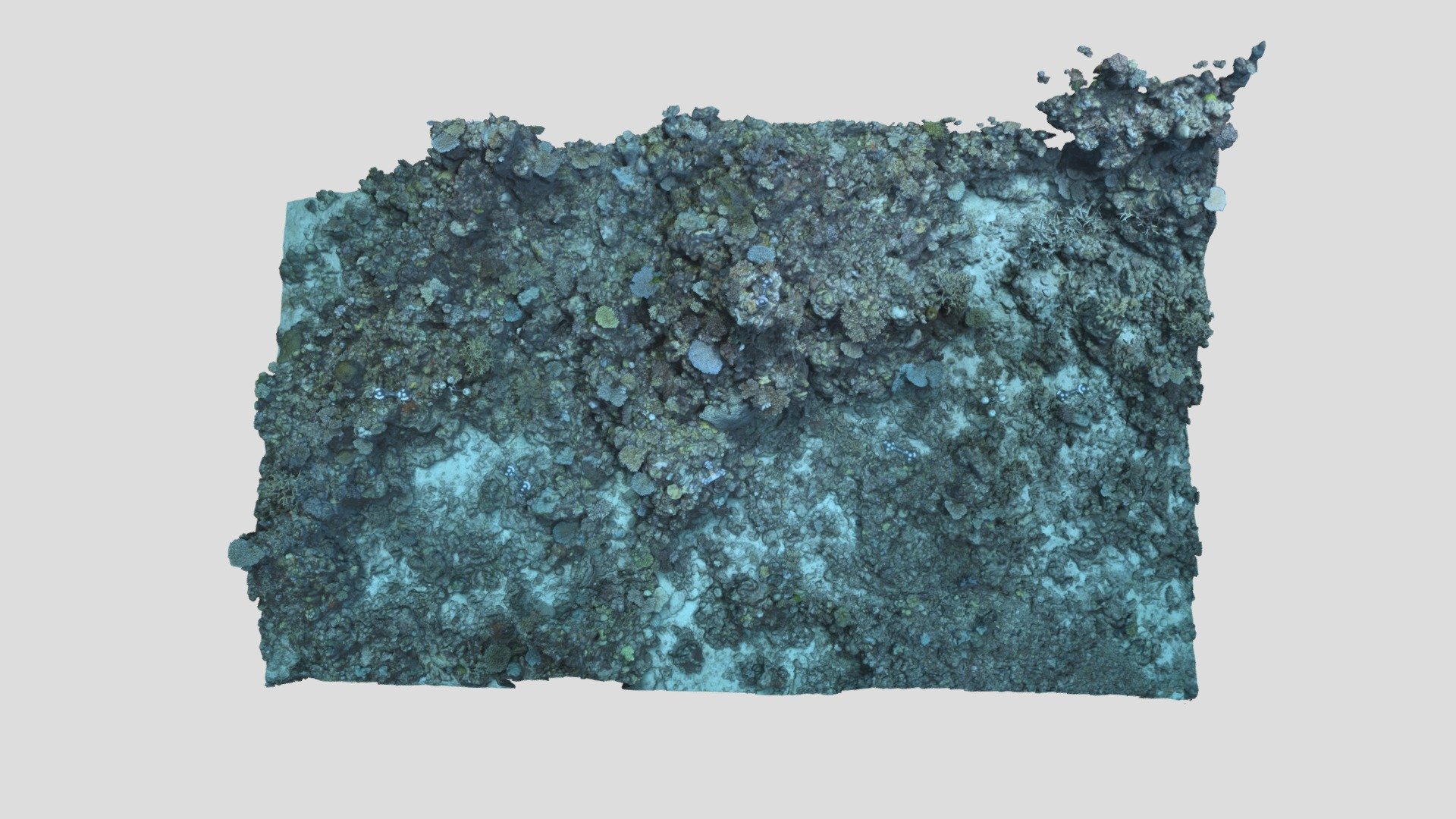 Davies_FR2D_P2_202301 - 3D model by EcoRRAP (@AIMSEcoRRAP) [dfda56d ...