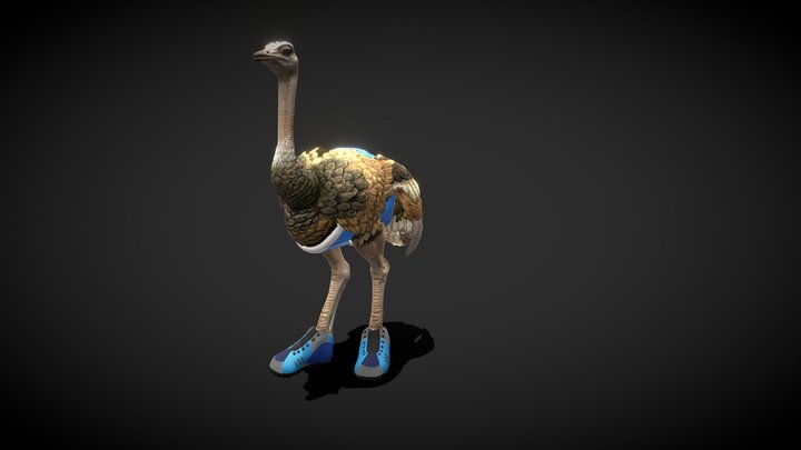 Ostrich 3D models - Sketchfab