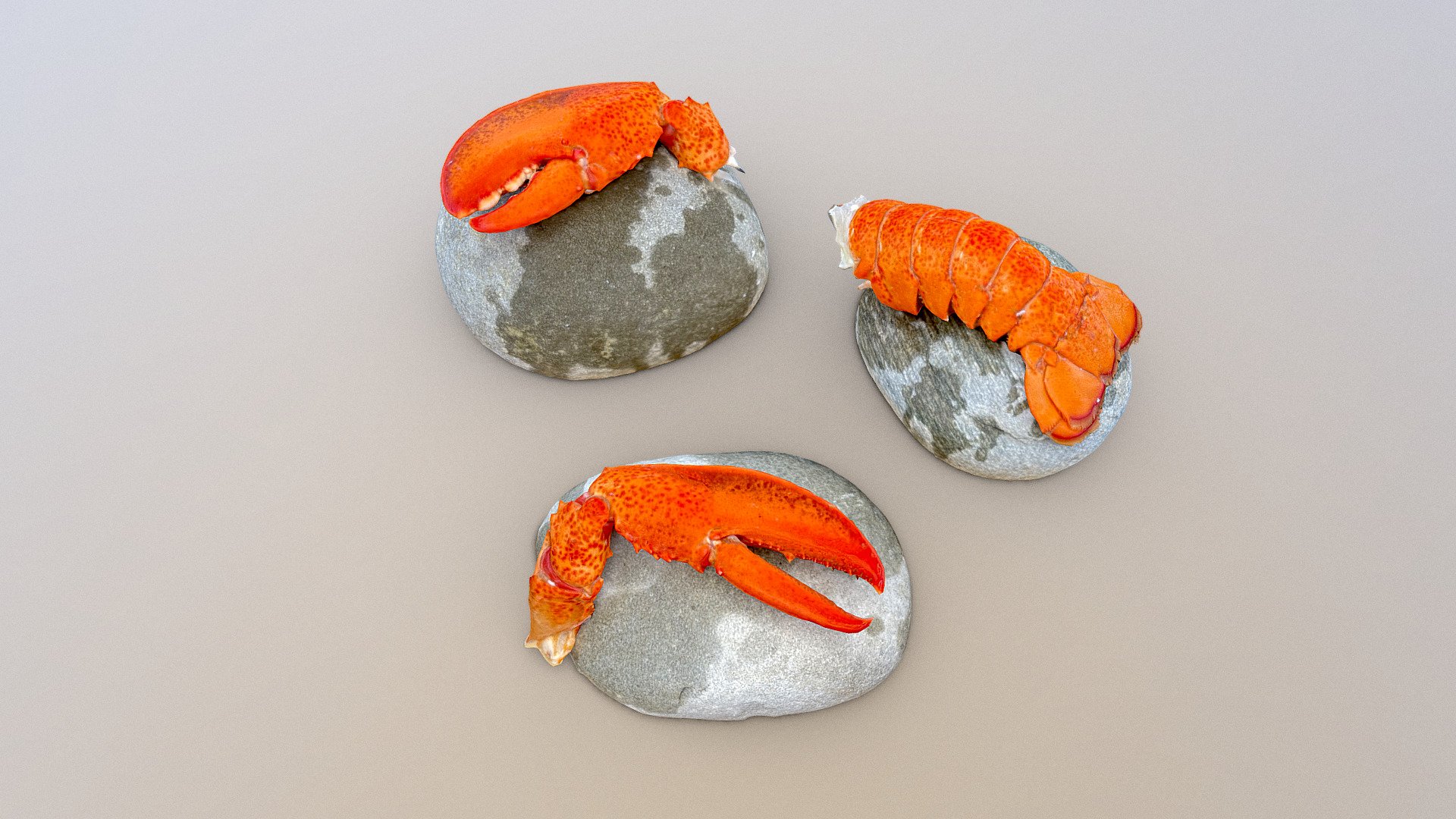 Lobster - 3D model by Zoltanfood [dfdf1f4] - Sketchfab