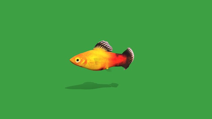 Aquarium 3D models - Sketchfab