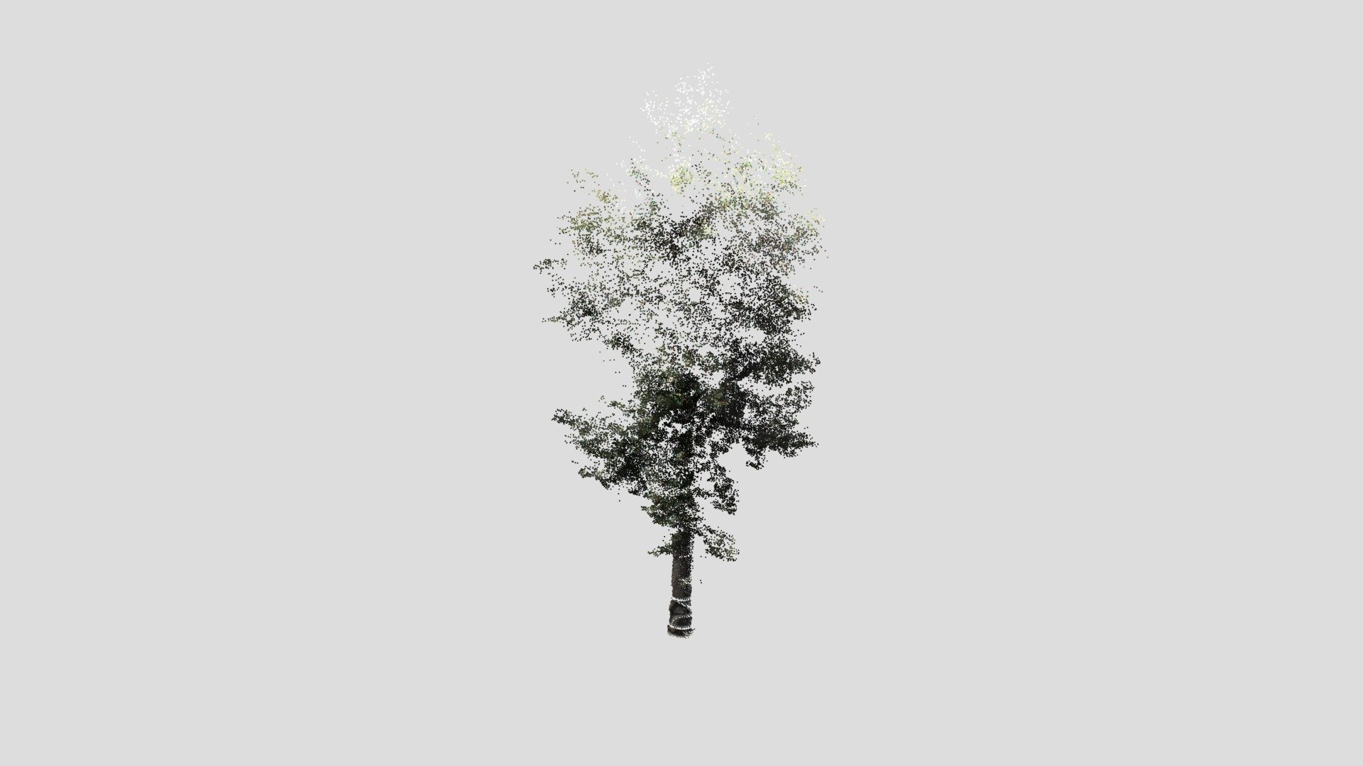 tree9-pointcloud - 3D model by Nodai_Kunii_Lab (@mmsroadsidetree ...