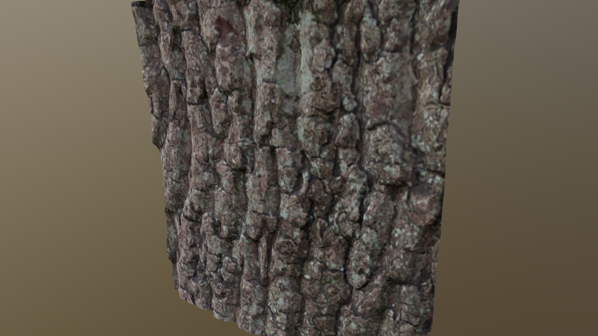 Tree Bark - 3D model by gentlegiantJGC [dfe7921] - Sketchfab