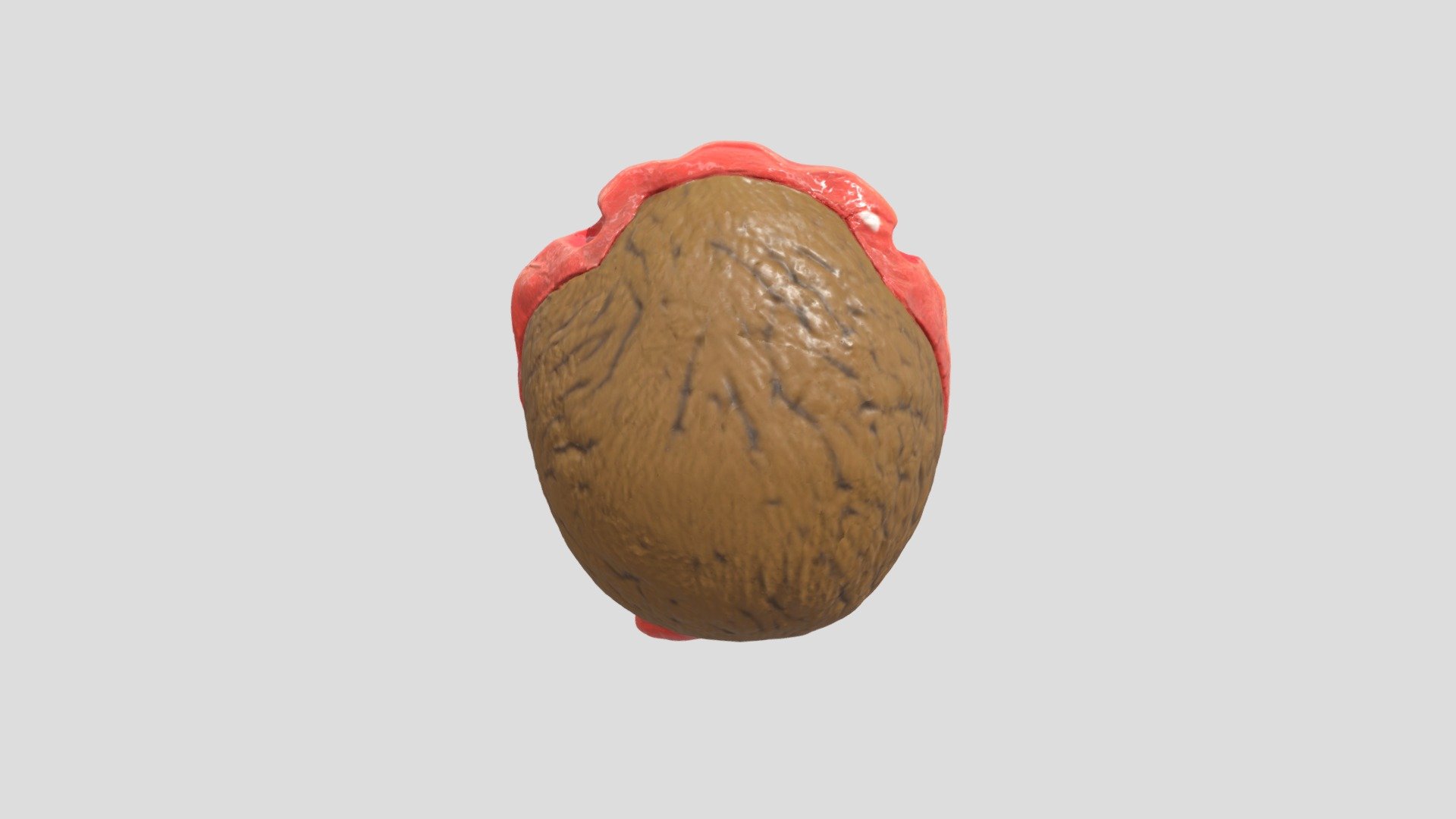 Cherry Seed - Download Free 3D model by itamar2 [dfe8526] - Sketchfab