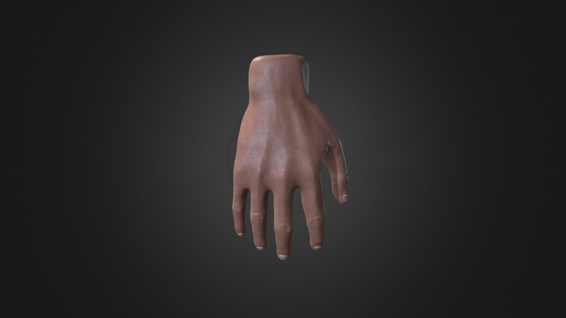 Bailey Moss Hand Model - 3D model by bailey.moss [dfe9e44] - Sketchfab