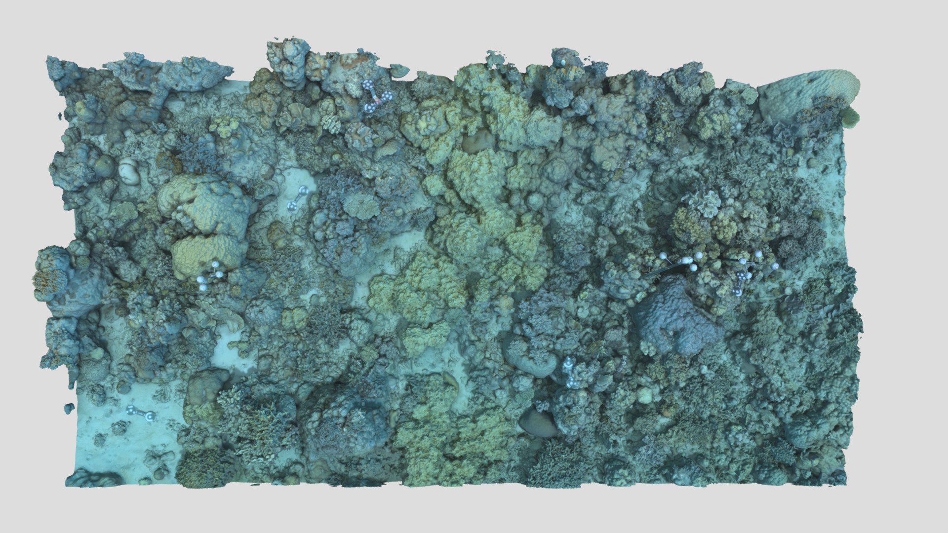 Masig_FL1S_P3_202302 - Download Free 3D model by EcoRRAP (@AIMSEcoRRAP ...