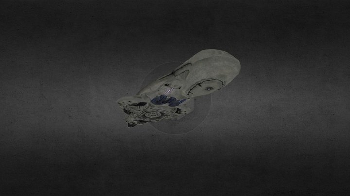 Covenant 3D models - Sketchfab