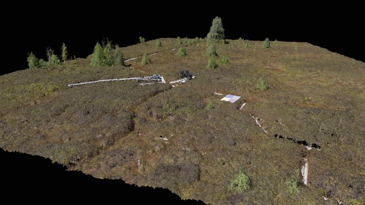 Peatland 3D models - Sketchfab
