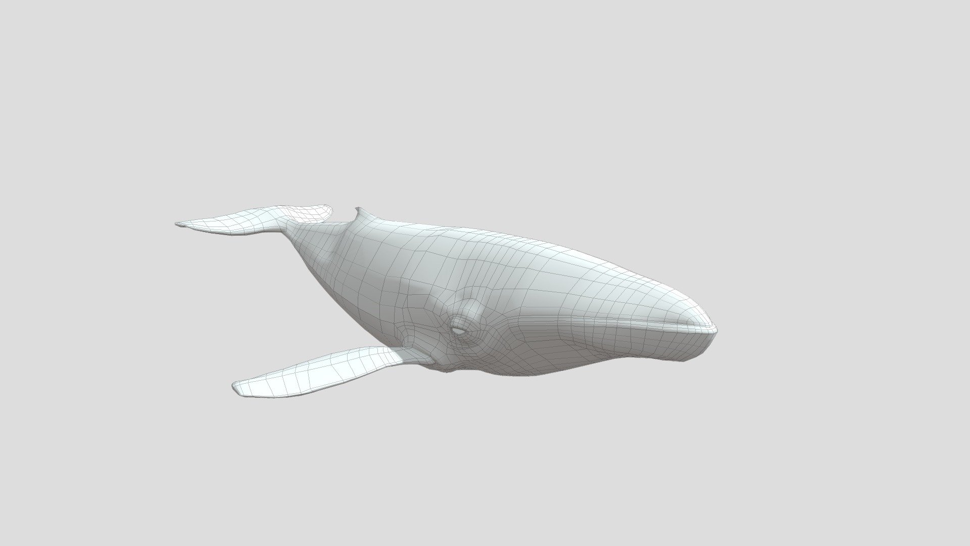 Retopo'd Whale - Download Free 3D model by Allie2k [dfeed38] - Sketchfab