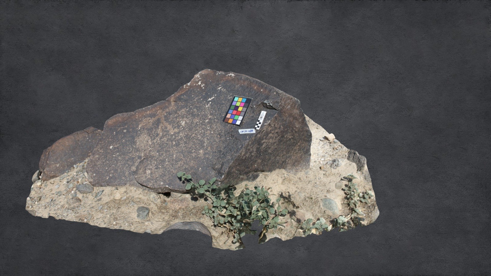 Rock Carving at Chilas-IX (Rock 88) - 3D model by cvlablums [dfef590 ...