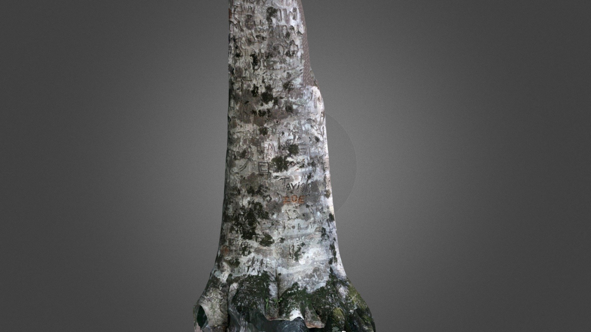 Carved Tree - Download Free 3D model by Terrie (@terrielsimmons ...