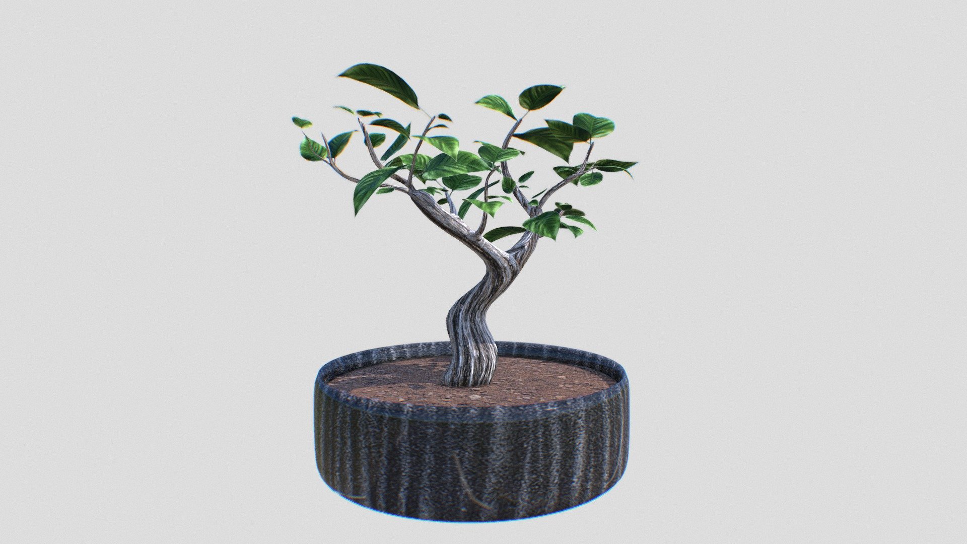 plant - Download Free 3D model by y60641 [dff56ba] - Sketchfab