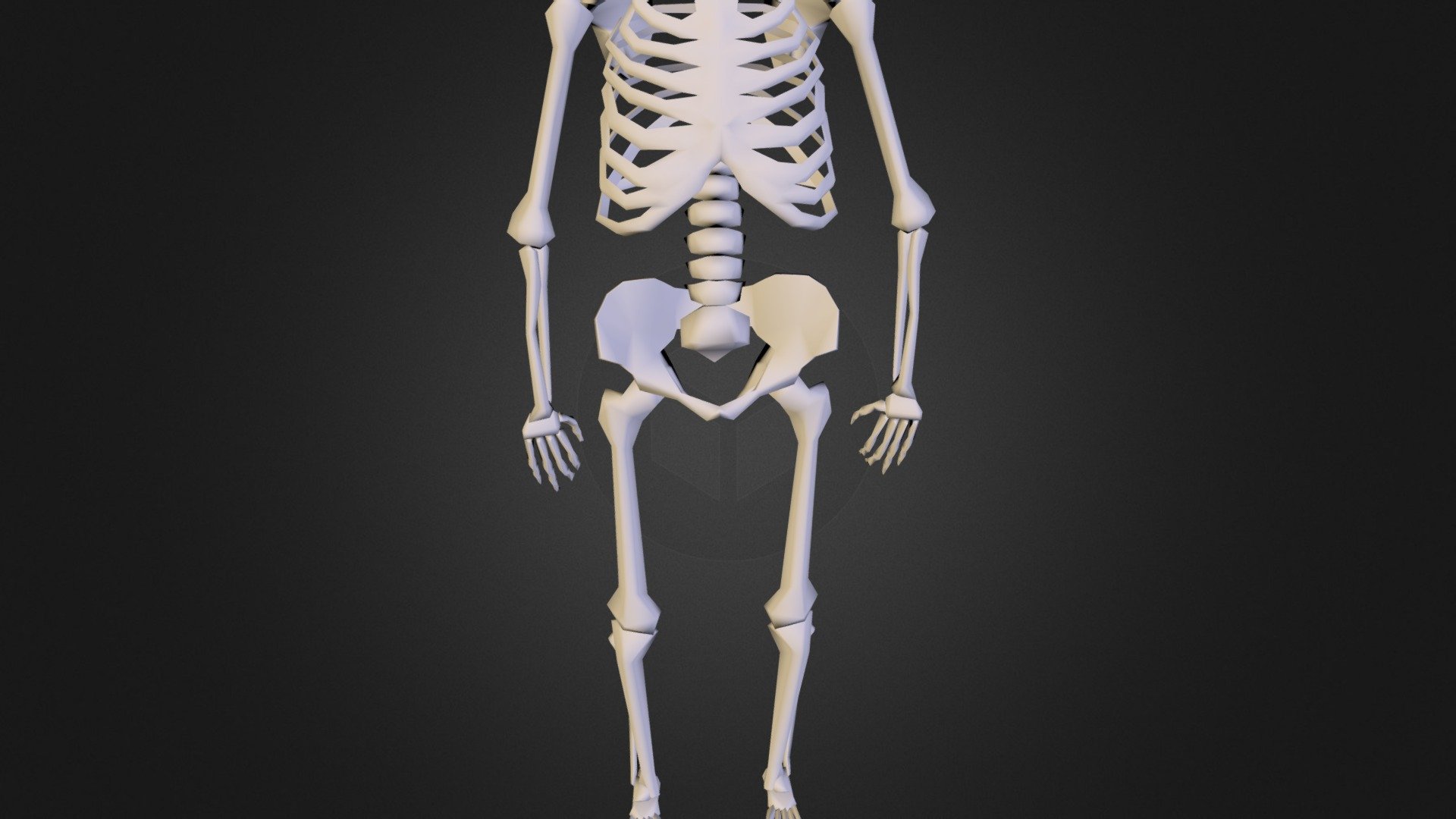 human_skeleton.obj - 3D model by Matt Connors (@mseydel) [dn86bbe ...
