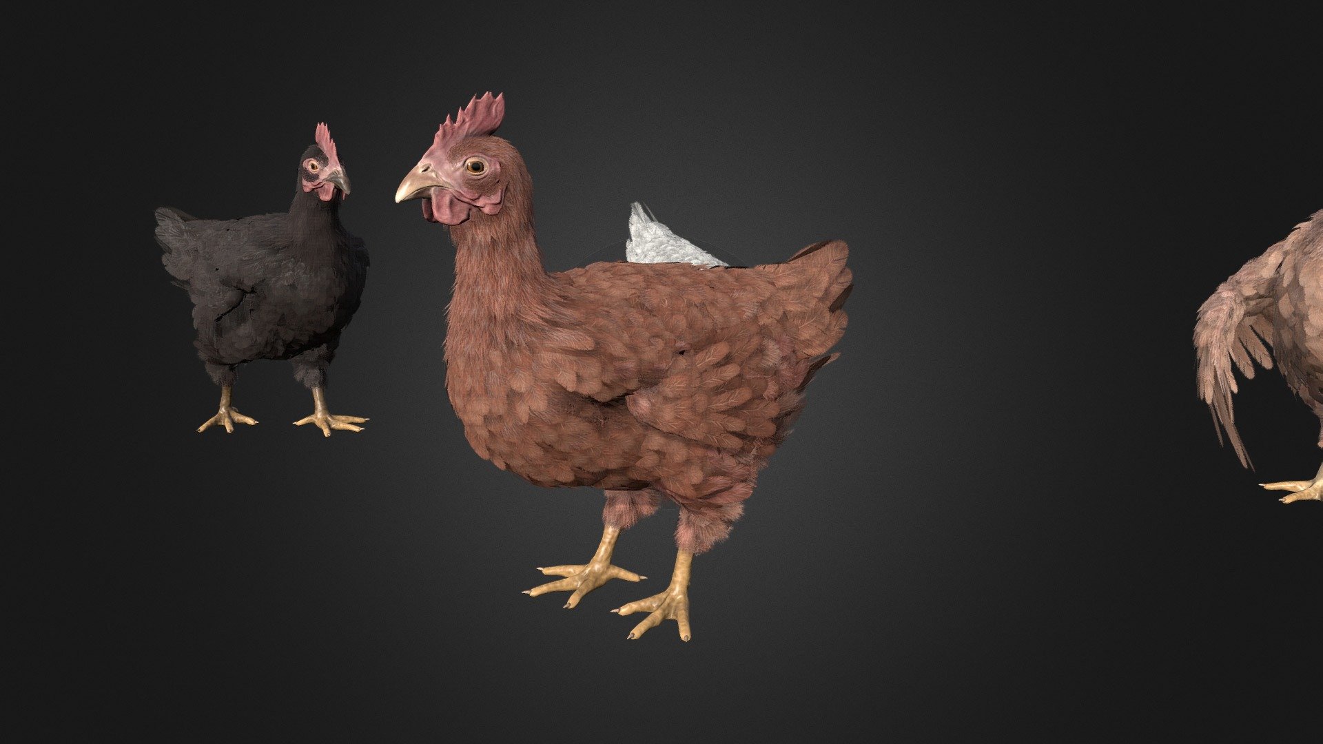 Hen - Buy Royalty Free 3D model by Rifat3D [e004523] - Sketchfab Store
