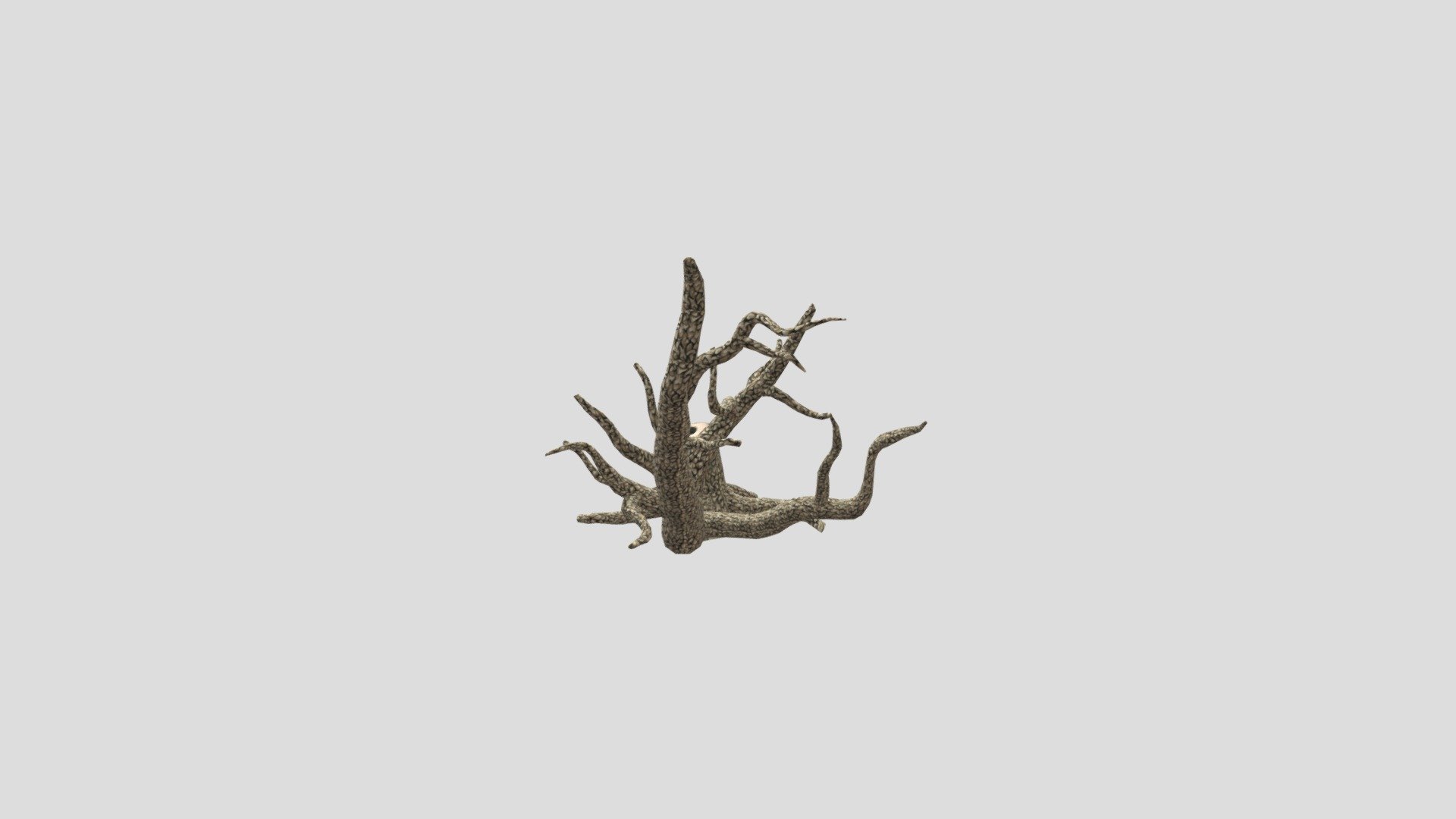 Oak Tree Texture - 3D model by Alana Wilson (@AlanaWilson1) [e00dad0 ...