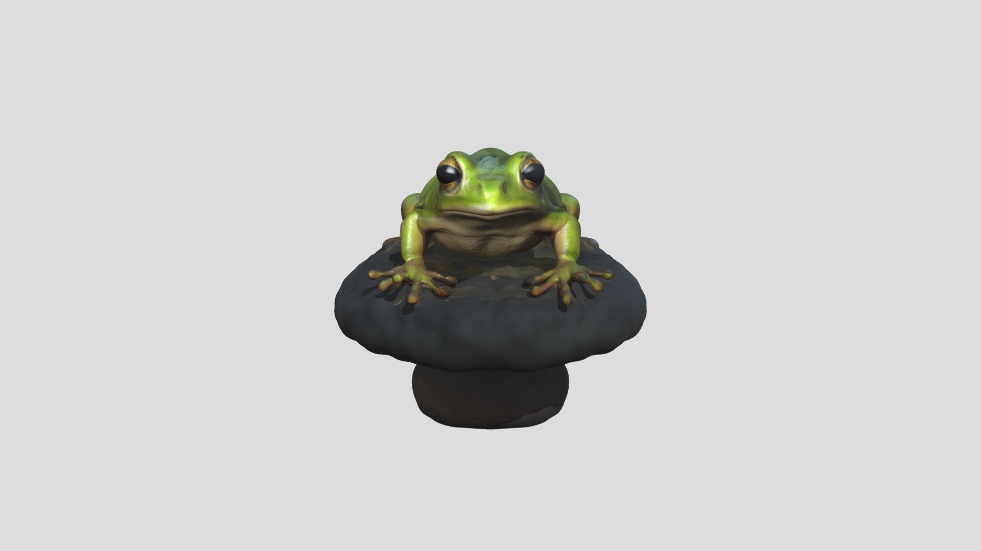 frog on toad stool - 3D model by sharireed61 [e012085] - Sketchfab