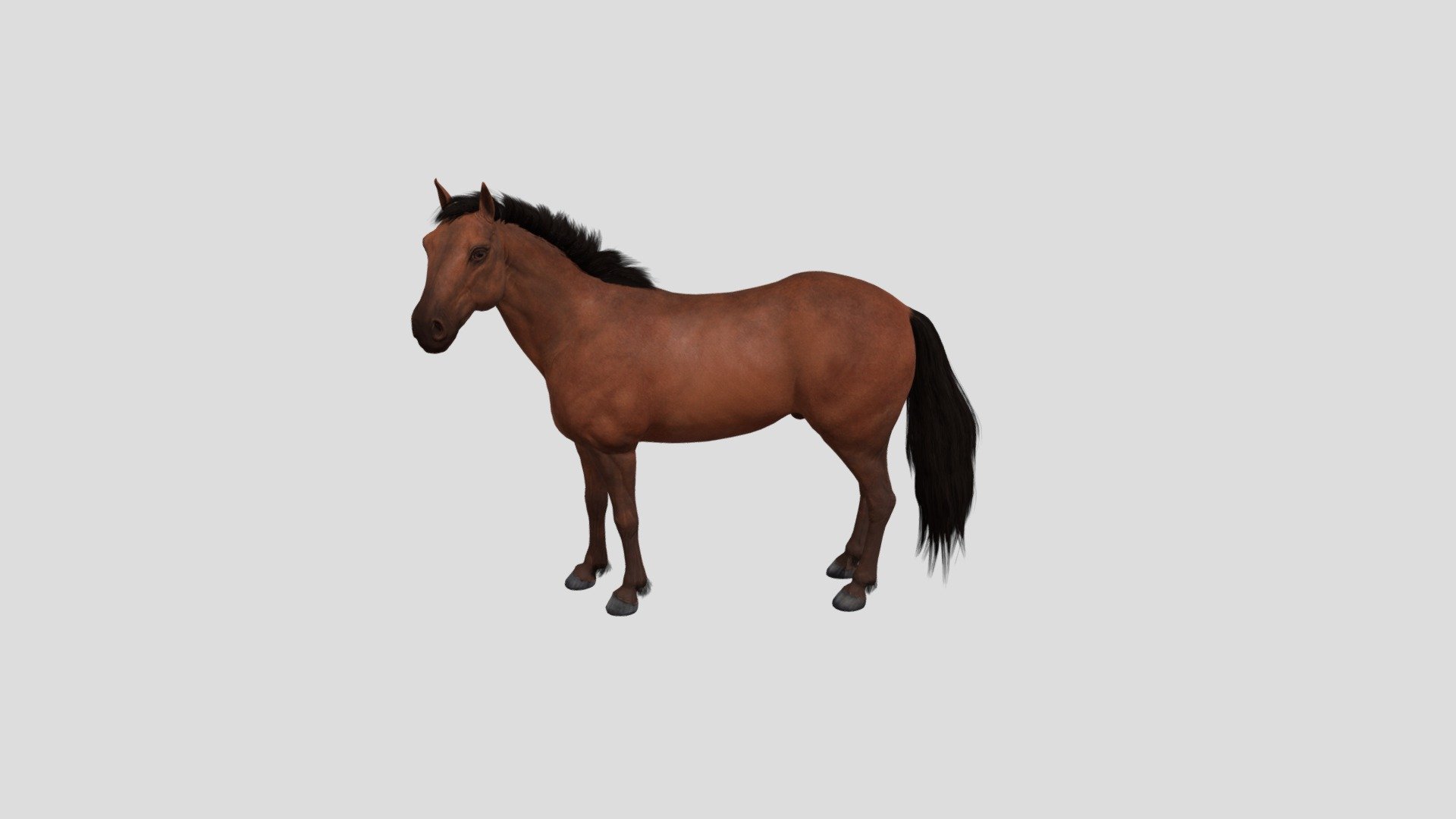 Horse Animation - Download Free 3D model by janahibrahim81 [e012326 ...