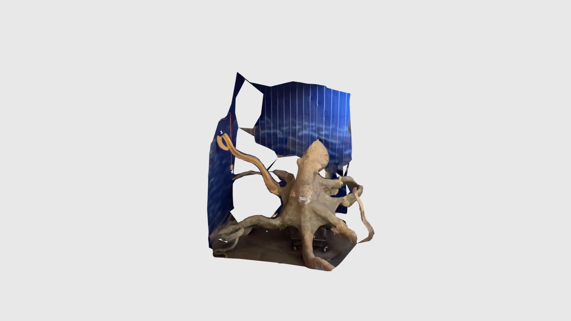 Pulpo - Download Free 3D model by EGM_arq [e01448a] - Sketchfab