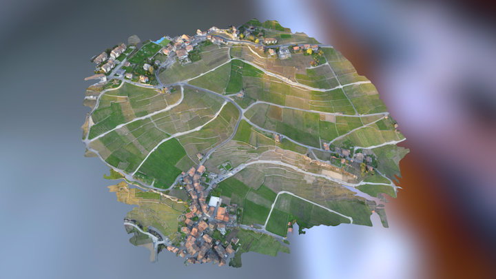 Vinyard 3D models - Sketchfab