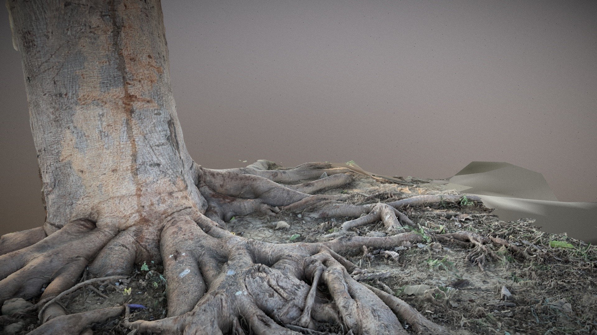 Tree Roots - Download Free 3D model by majidazim [e0279c6] - Sketchfab