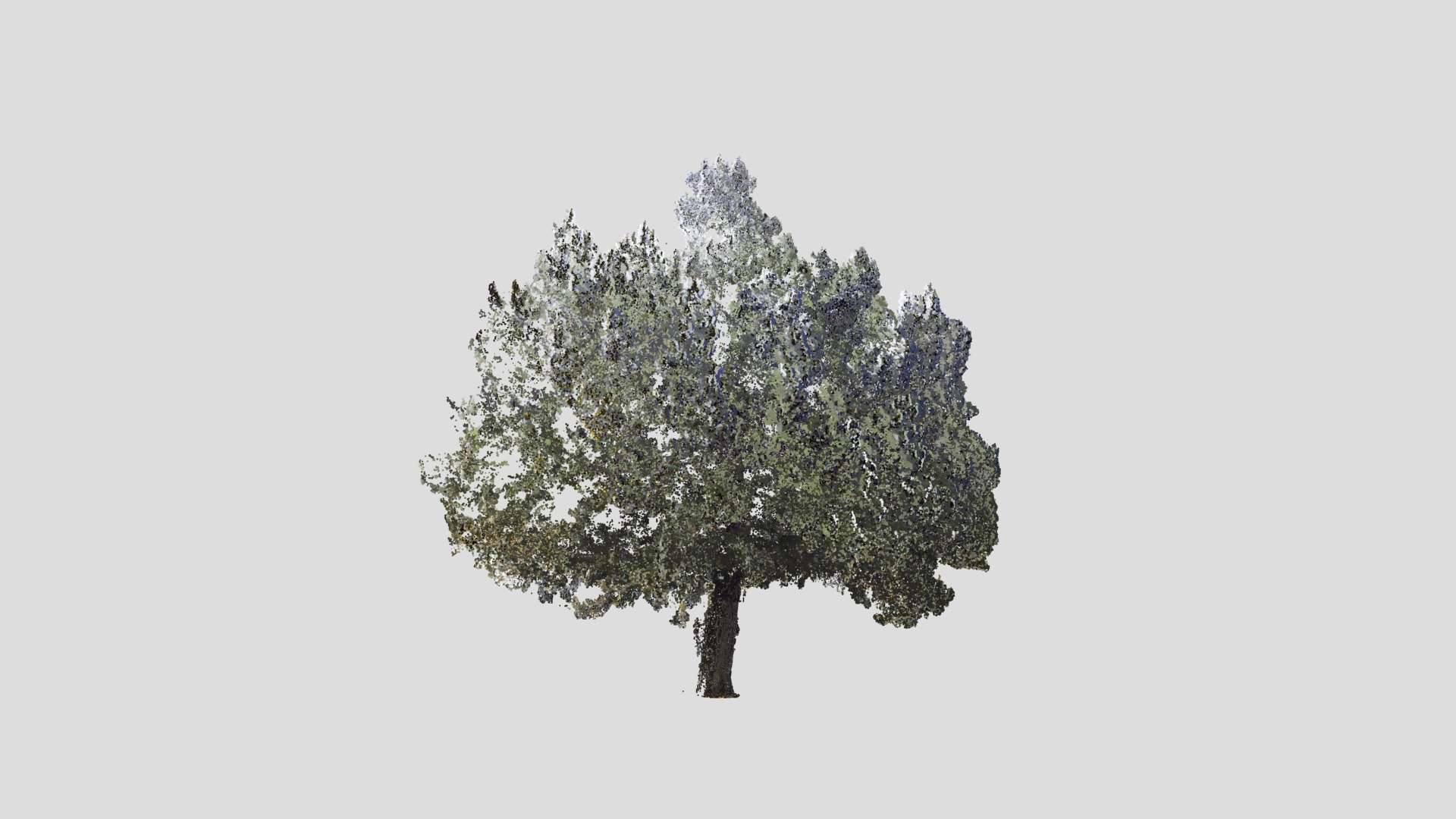 Tree Point Cloud - Buy Royalty Free 3D model by magnum_opus (@tree ...