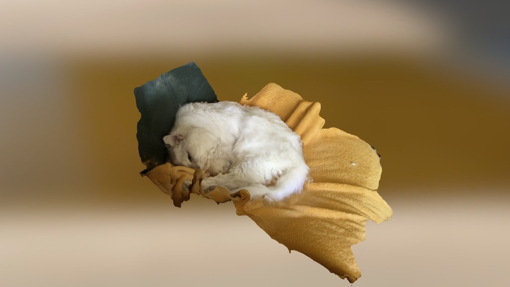 Scruff - 3D model by marcolinadesign [e038aa5] - Sketchfab