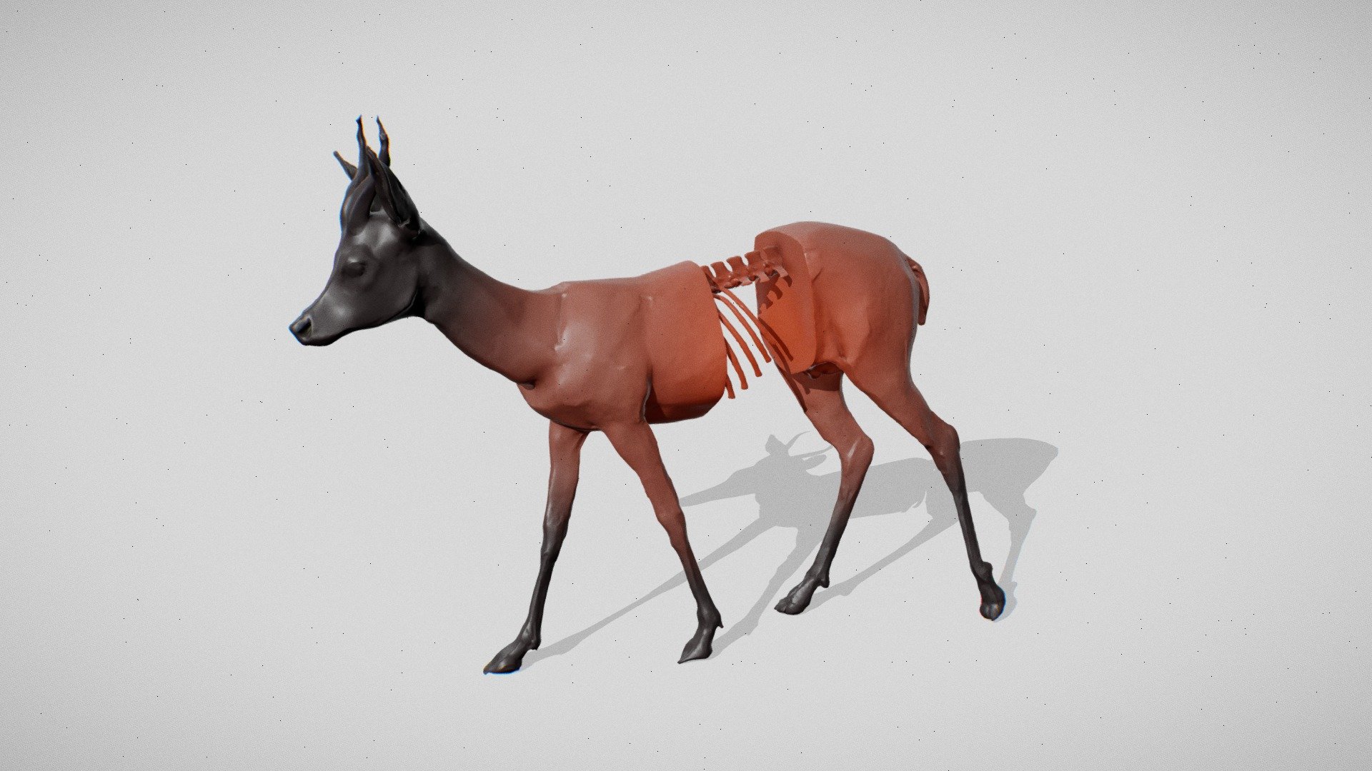 fawn - 3D model by rstr_tv [e03a311] - Sketchfab