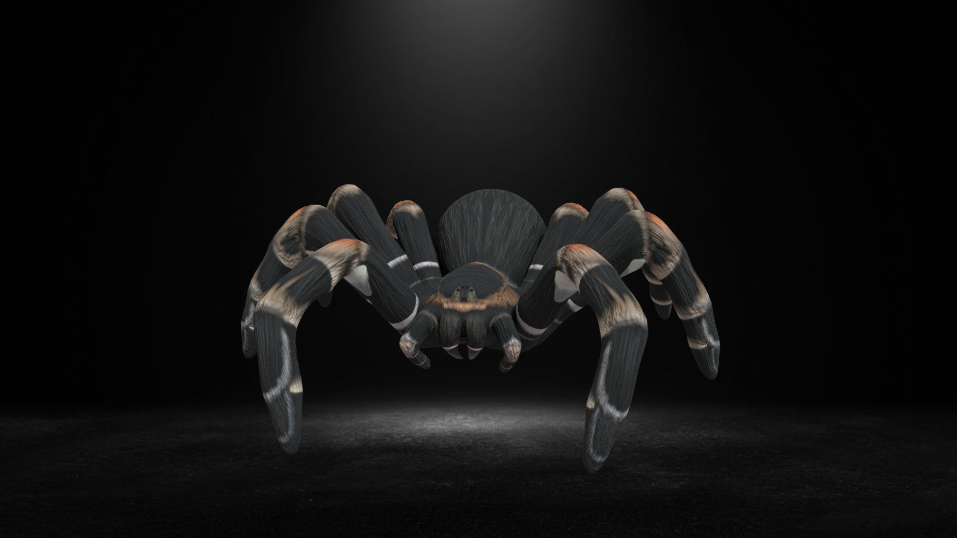Tarantula - 3D model by 3D animacija (@alekkavcic) [e044353] - Sketchfab