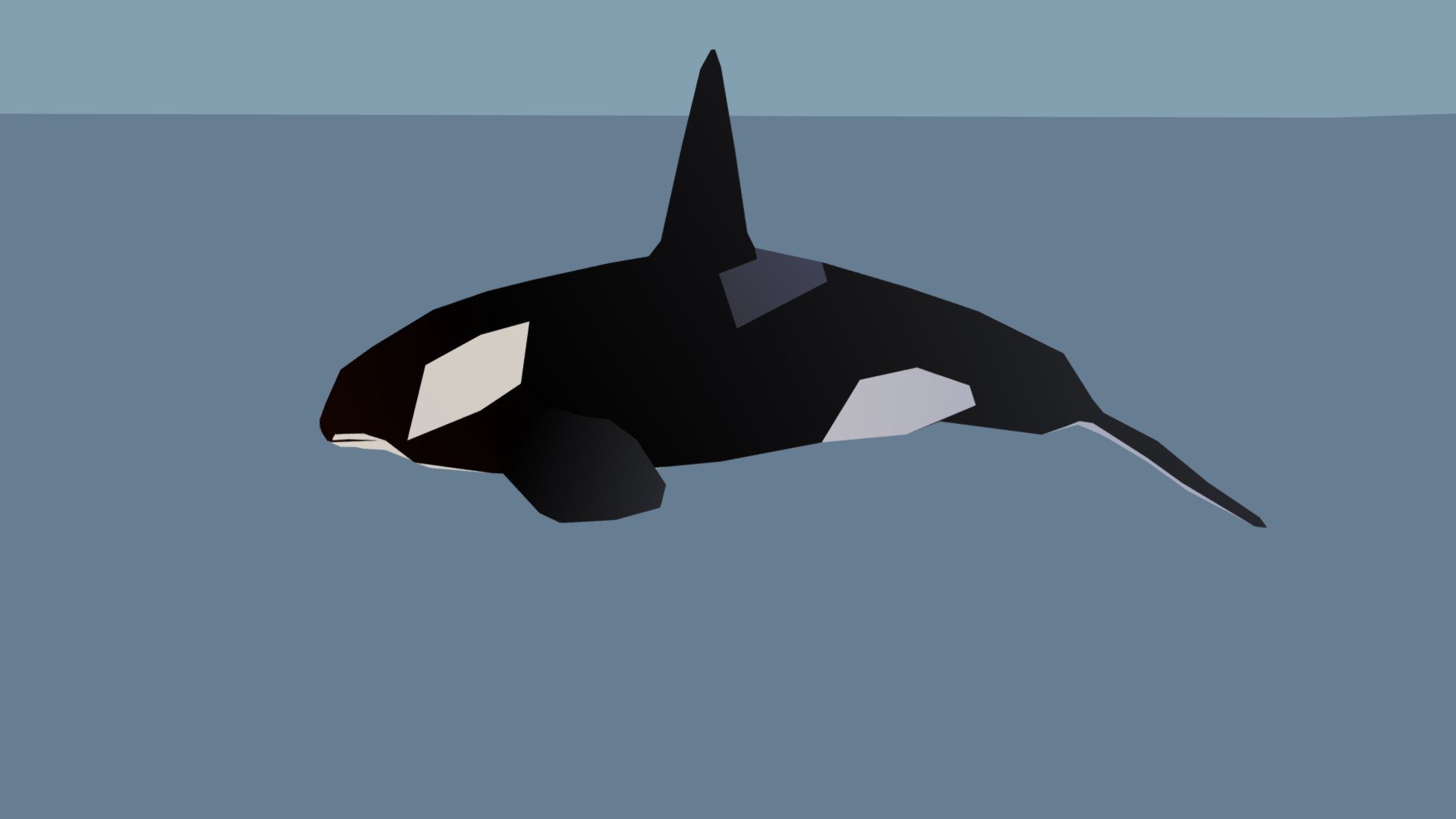 Orca - animated - marine mammals series - 3D model by nolanfa [e049c36 ...
