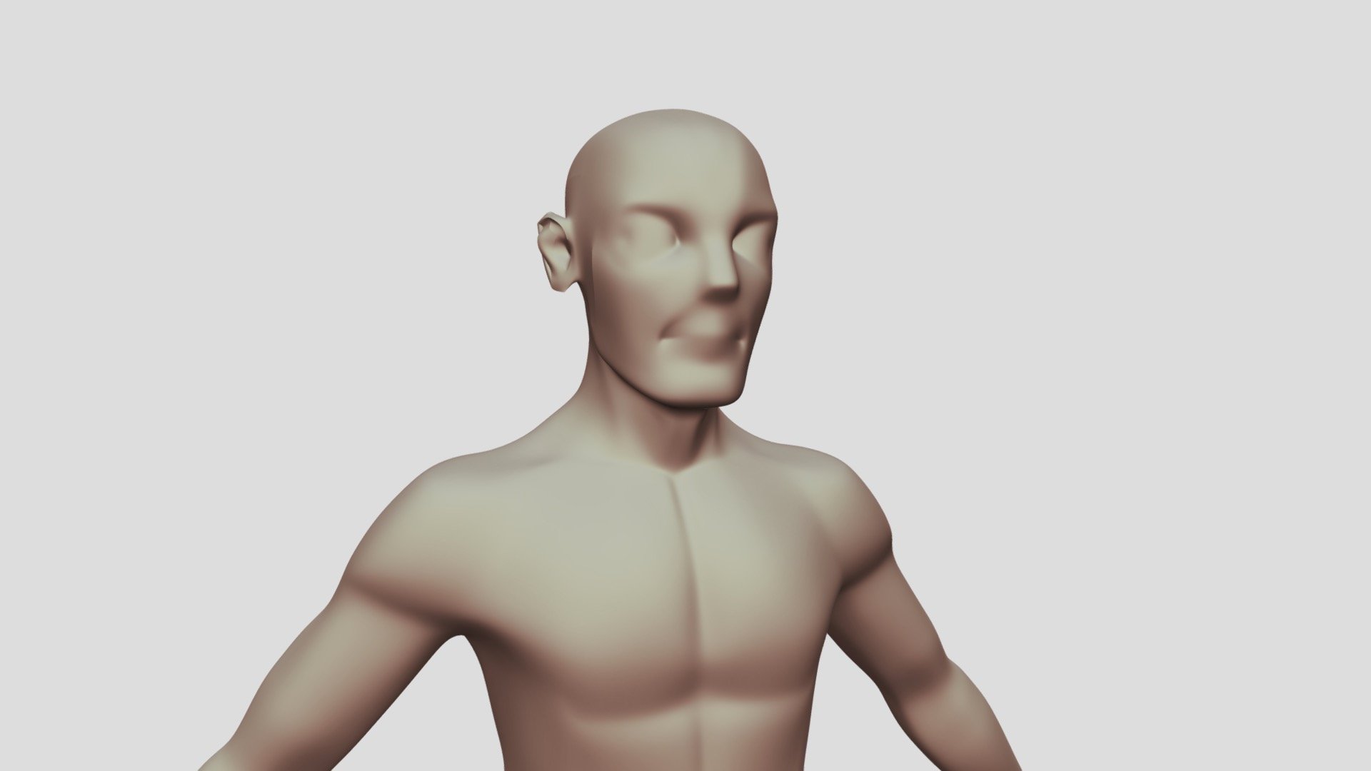 Head and Neck Superficial skeletal muscles - Download Free 3D model by ...