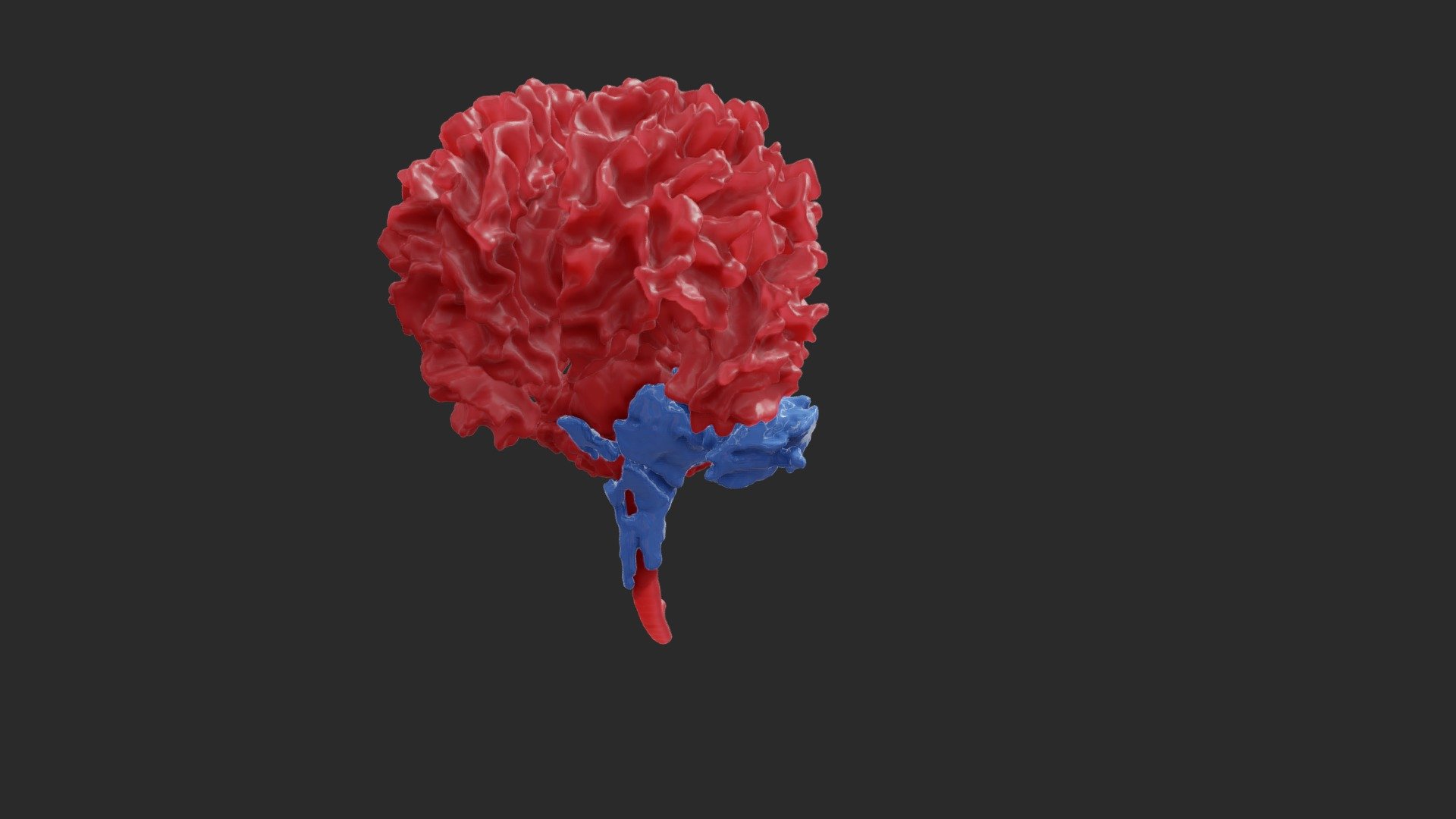 2022 Stem - 3D model by starsim.com [e05f9ef] - Sketchfab