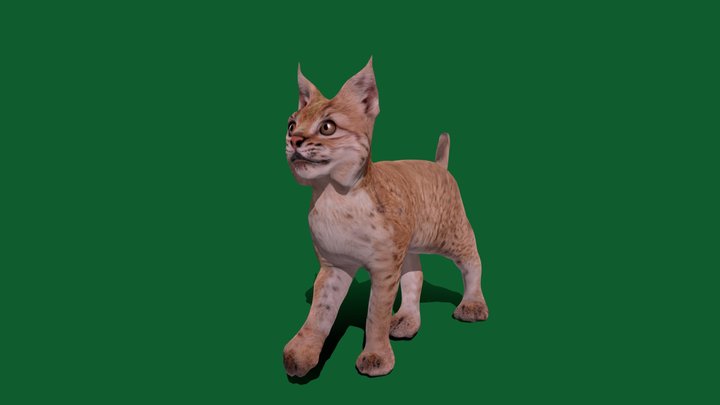 Lynx 3D models - Sketchfab