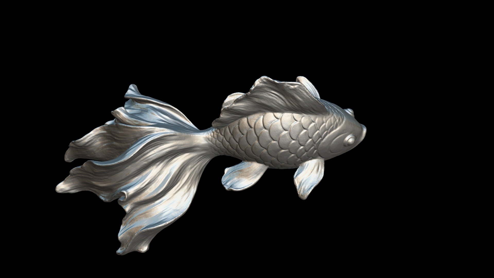 Goldfish 3D Model in High Polygon - 3D model by Thunk3D [e063f77] - Sketchfab