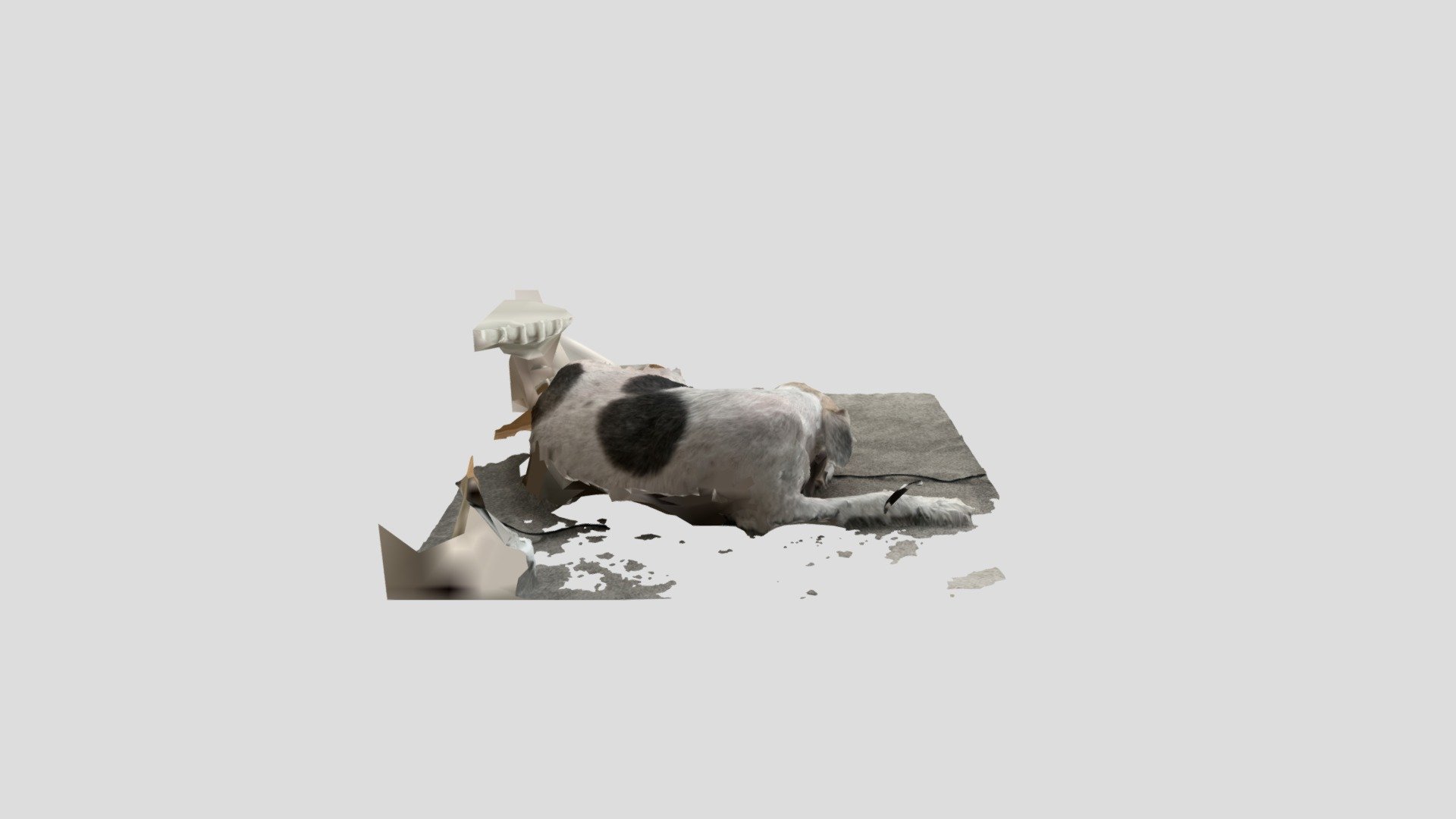 Scan 2023-05-10T10:09:47.146Z - Download Free 3D model by luckebjucke ...